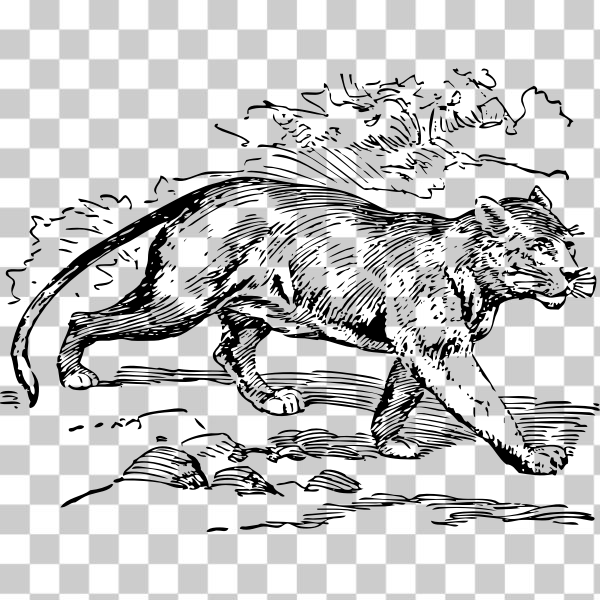 Free: SVG puma - nohat.cc