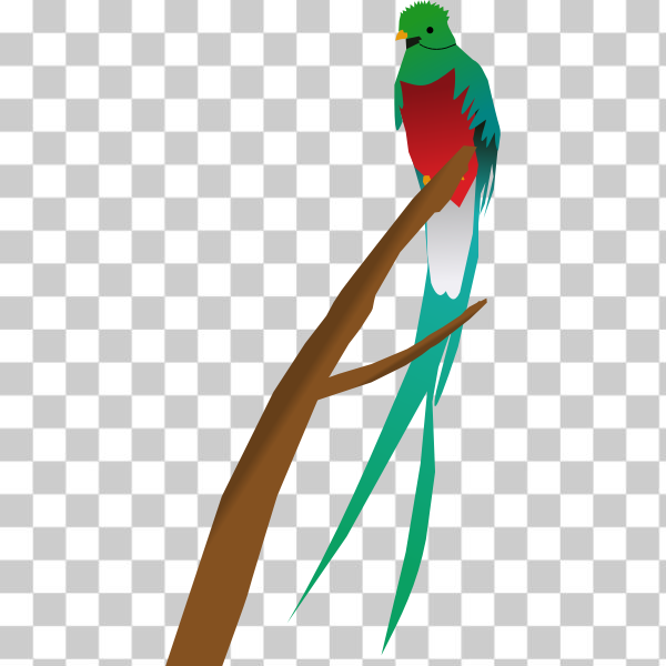 Free: SVG Quetzal - nohat.cc