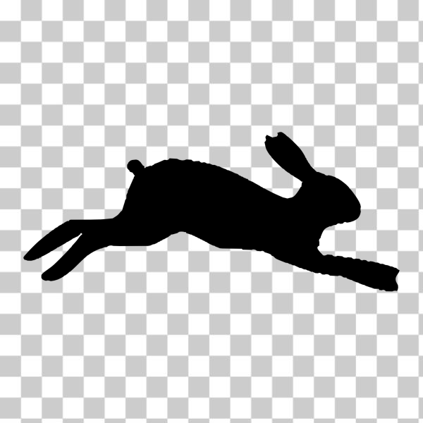 Free: SVG Rabbit hopping - nohat.cc