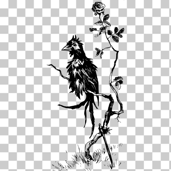 Free: SVG Ragged bird - nohat.cc