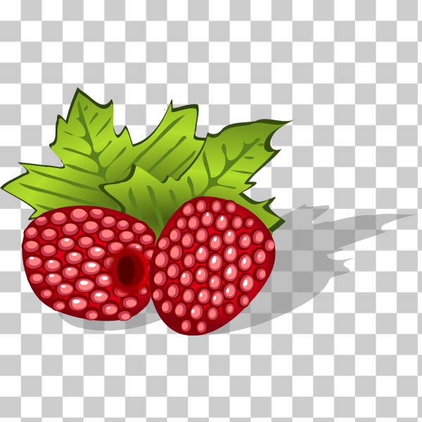 Free: SVG Raspberries vector image - nohat.cc