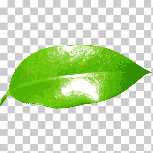 Free: SVG Realistic green leaf - nohat.cc