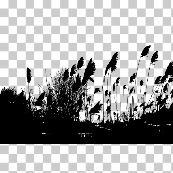 Free: SVG Reeds Silhouette - nohat.cc