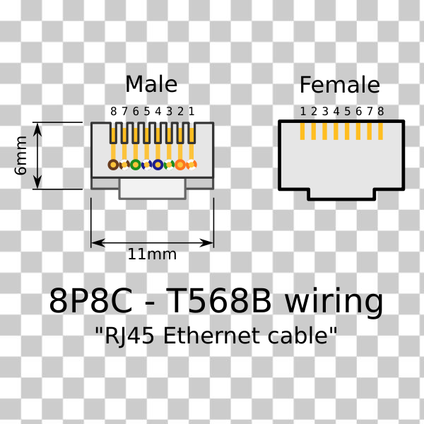 Free: SVG RJ 45 plug and jack - nohat.cc