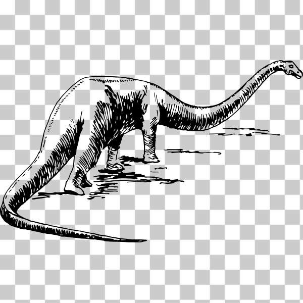 Free: SVG Sauropod drawing - nohat.cc