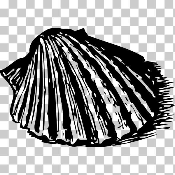 Free: SVG scallop shell - nohat.cc