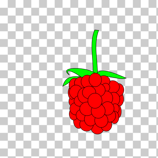 Free: SVG Simple raspberry - nohat.cc