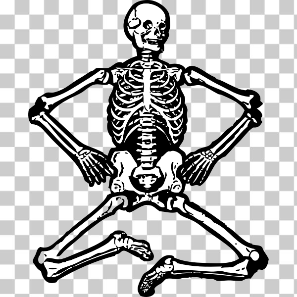 Free: SVG Sitting skeleton vector graphics - nohat.cc