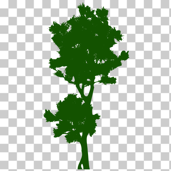 Free: SVG Tall tree image - nohat.cc