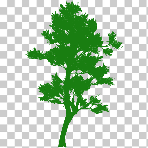 Free: SVG Tall tree silhouette - nohat.cc