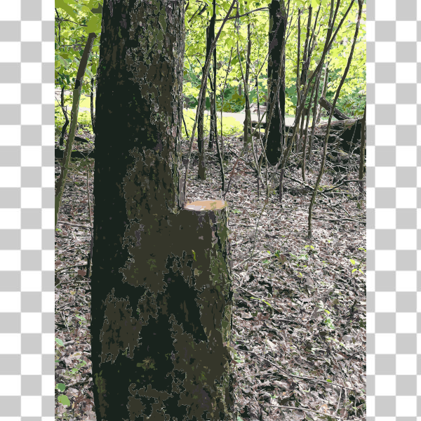 Free: SVG Timber 1 2015071507 - nohat.cc