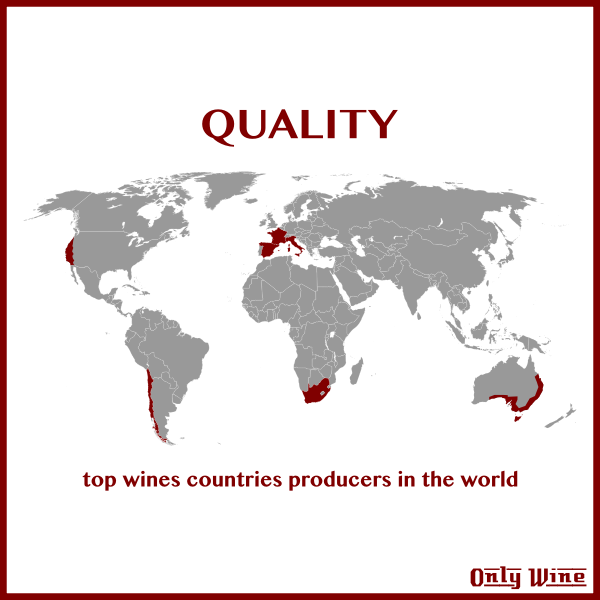 Free: SVG Top wine producers - nohat.cc
