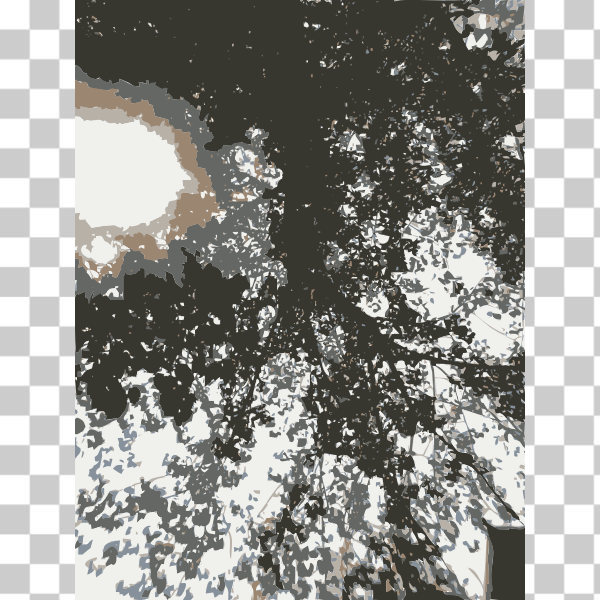 Free: SVG Trees and sun canopy - nohat.cc