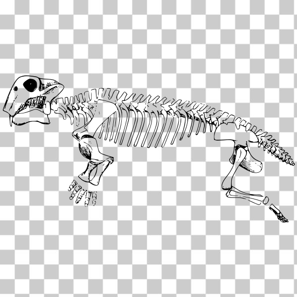 Free: SVG Triassic Period Lystrosaurus vector graphics - nohat.cc