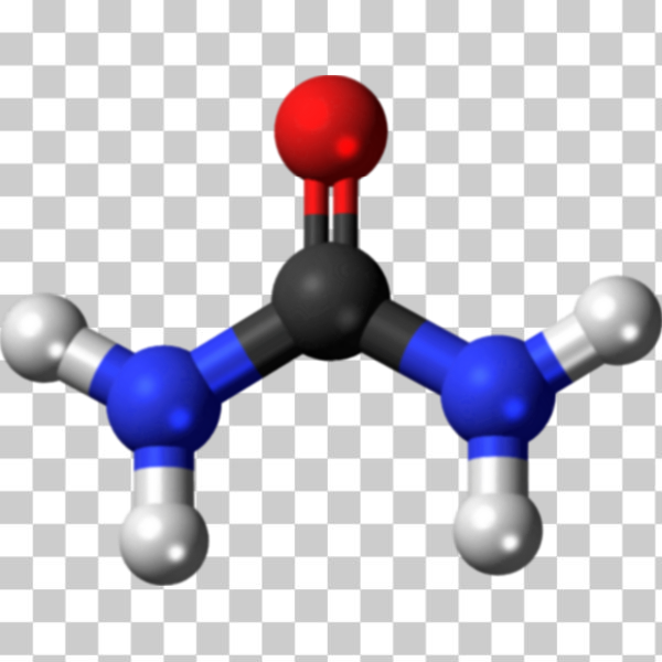 Free: SVG Urea molecule 3d - nohat.cc