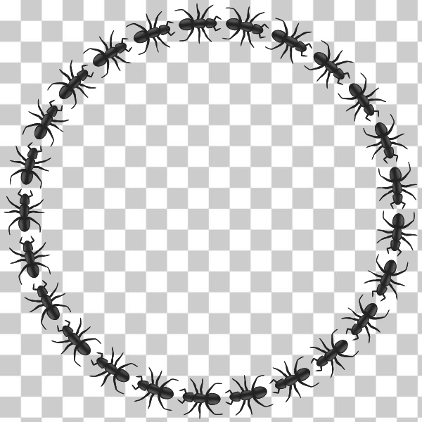 Free: SVG Vector clip art of ant pattern circular border - nohat.cc