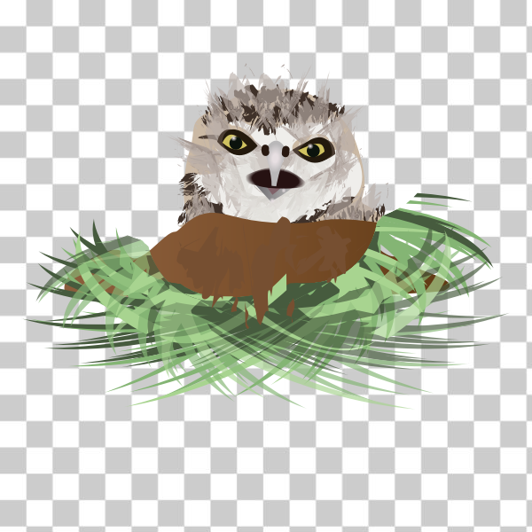 Free: SVG Vector drawing of burrowing owl in its den - nohat.cc