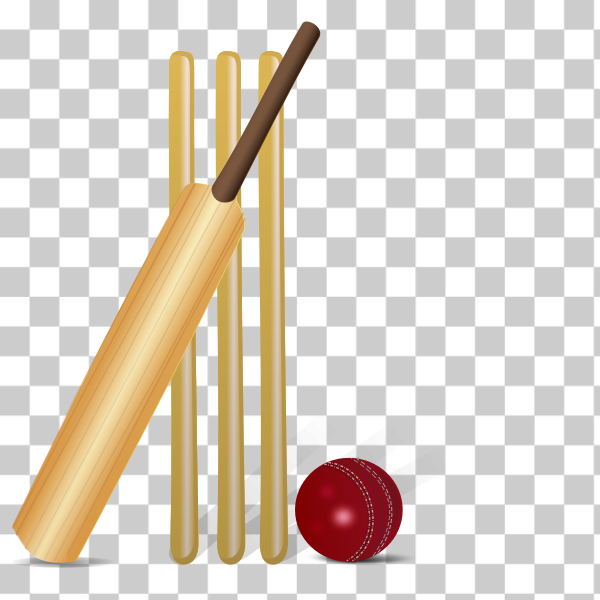 Free: SVG Vector drawing of cricket equipment - nohat.cc