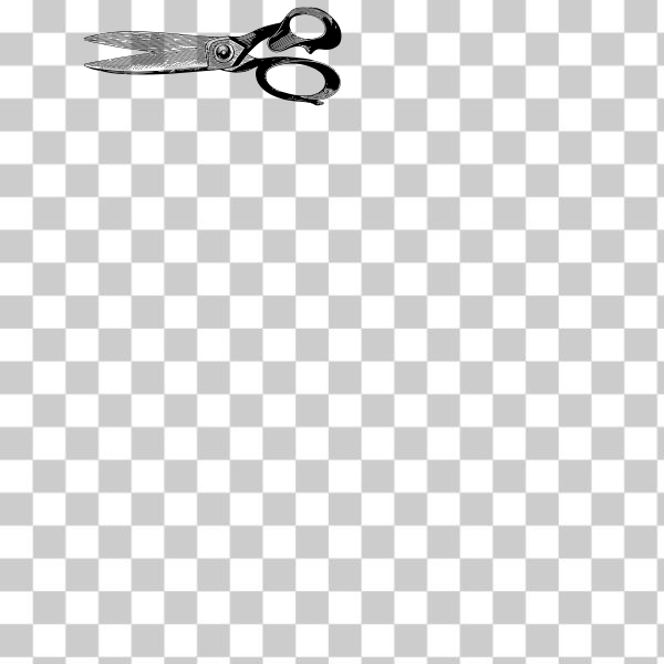 Free: SVG Vector illustration of black and white scissors - nohat.cc