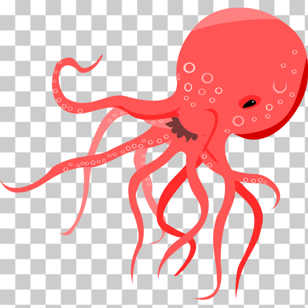 Free: SVG Vector illustration of red octopus - nohat.cc