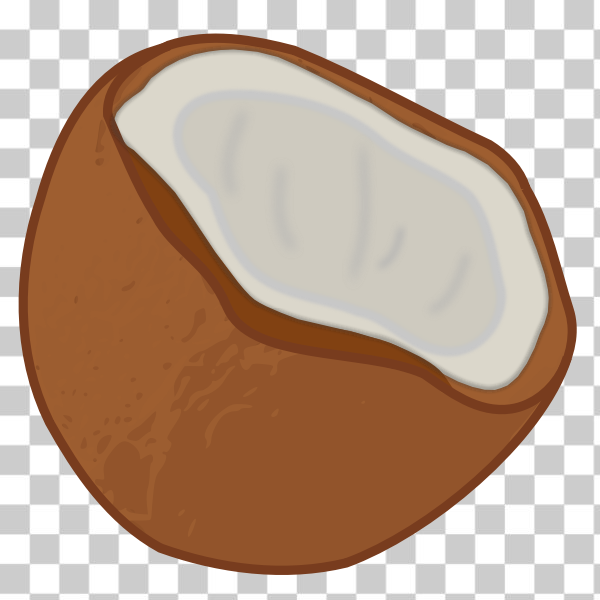 Free: SVG Vector image of half a coconut fruit icon - nohat.cc