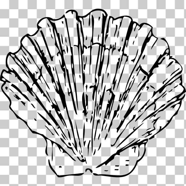 Free: SVG Vector image of scallop shell - nohat.cc
