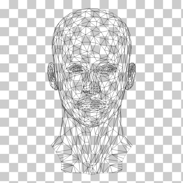 Free: SVG Wire frame human head - nohat.cc