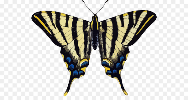 Free: Swallowtail butterfly Old world swallowtail Scarce swallowtail ...
