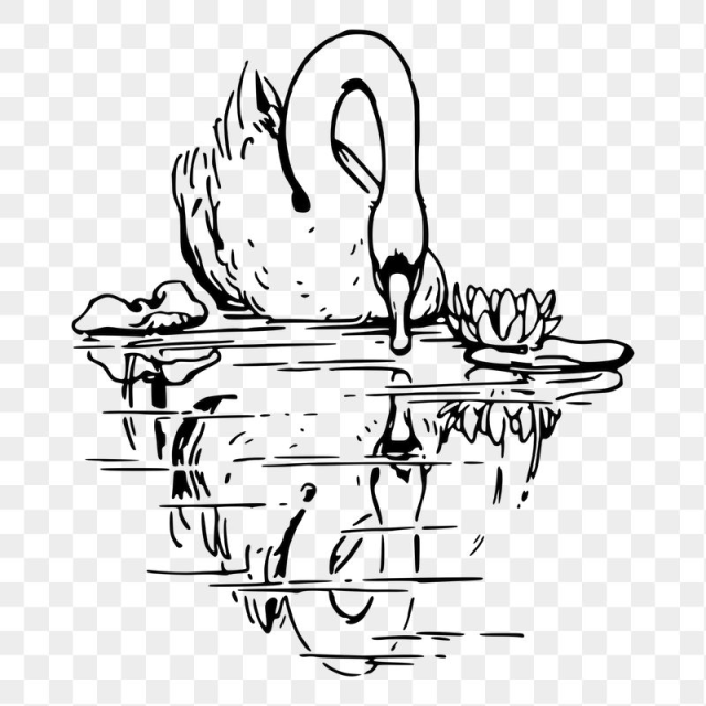Free: Swan png sticker illustration, transparent | Free PNG - rawpixel ...