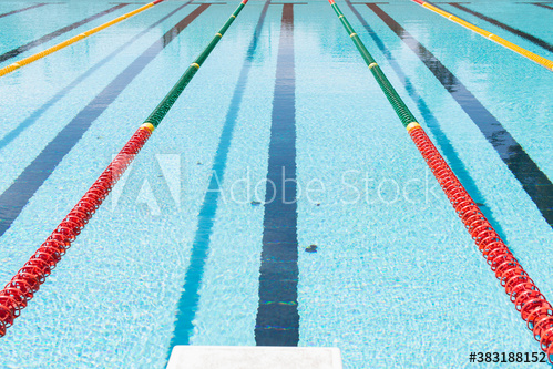 Free: Swimming pool with lane markers - nohat.cc