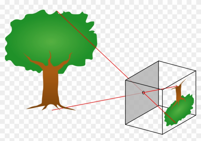 Free: Teaching Lesson On Pinhole Photography - Do Pinhole Cameras Work ...