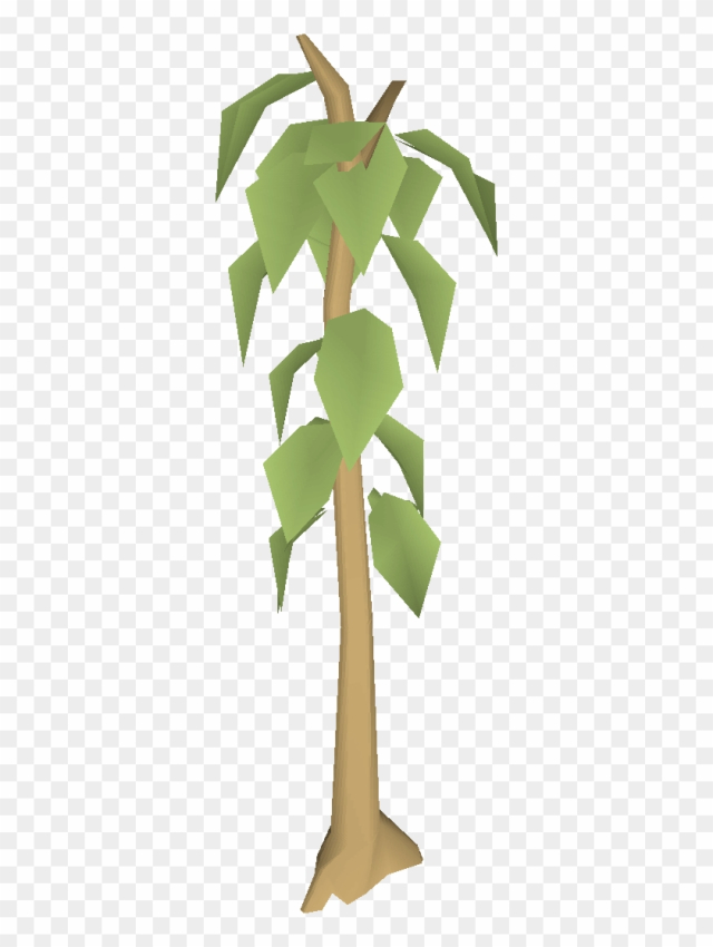 Free: Teak Tree - Osrs Teak Tree - nohat.cc