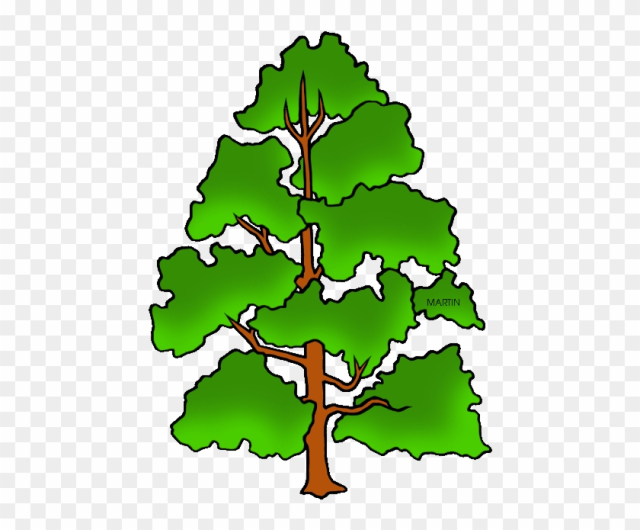 Tennessee State Tree