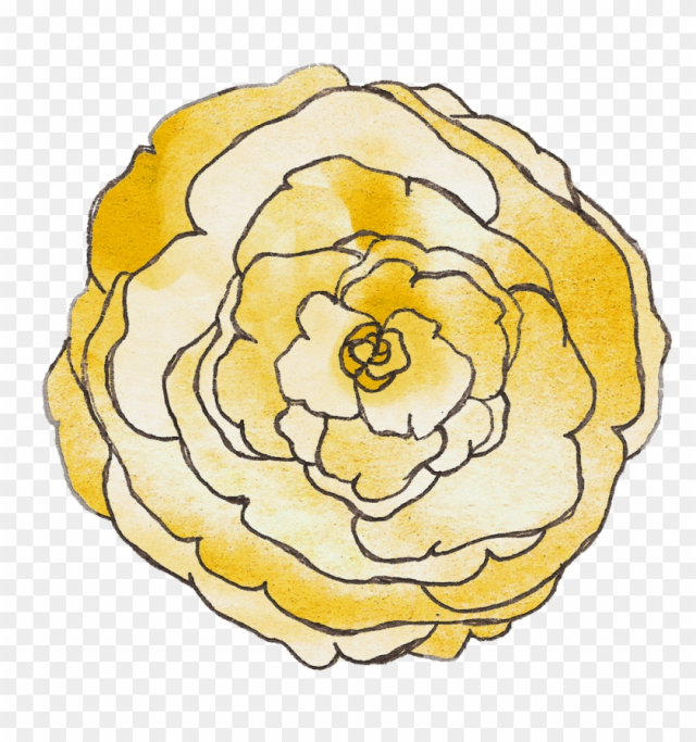 Free: Texas Rangers Baseball Ticket First Birthday Invitation - Texas ...