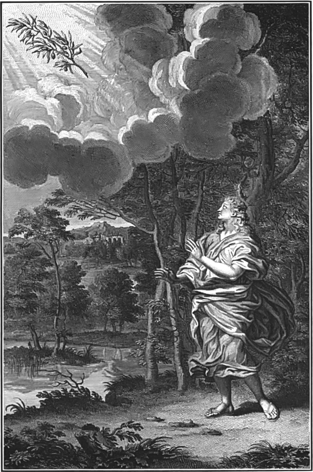 Free: The Awake Tree – The End Time - nohat.cc