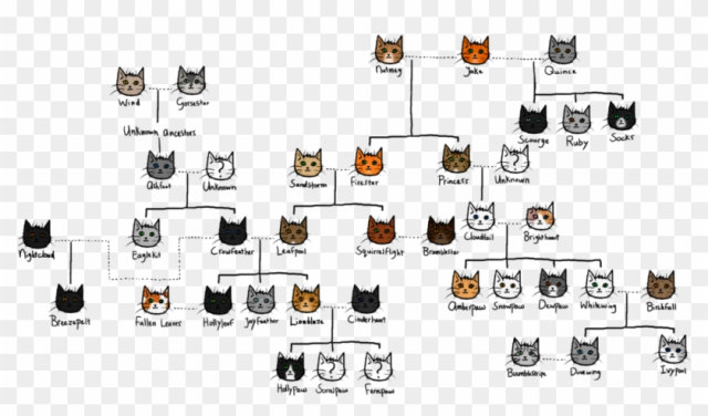 Free: The Gallery For > Warrior Cat Spottedleaf - Brambleclaw Family ...
