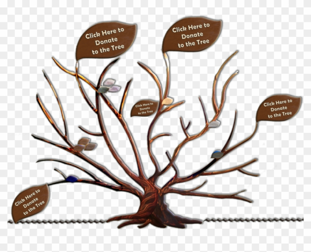 Free: The - John Muir Family Tree - nohat.cc