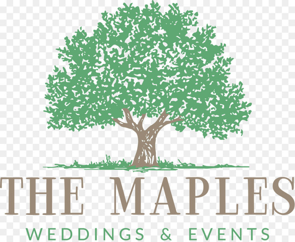 Free: The Maples Tree Logo Woodland Photograph - old oak ranch ...