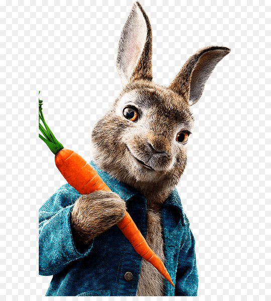 Free: The Tale of Peter Rabbit Mr. McGregor Meet Peter Rabbit Cinema ...
