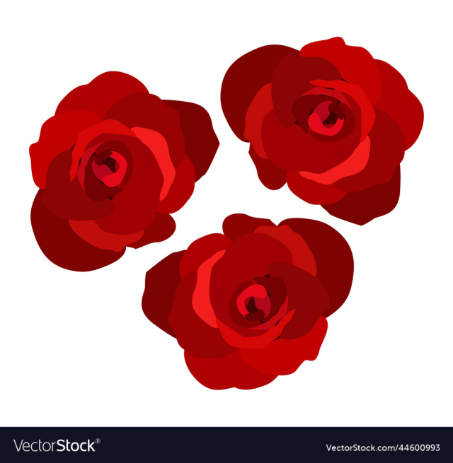 Free: three red roses - nohat.cc