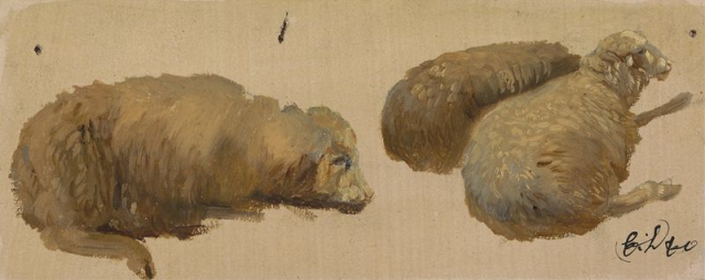 Free: Three Sheep at Rest | Free Photo - rawpixel - nohat.cc