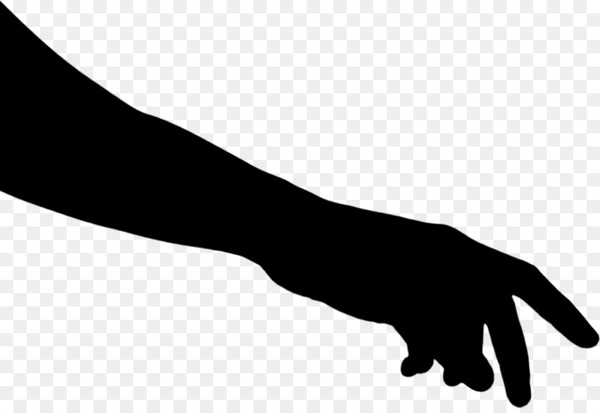 Free: Thumb, Hand Model, Human Leg, Wrist, Arm PNG - nohat.cc