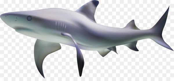 Free: Tiger shark Fish - Sharks seabed shading vector material - nohat.cc