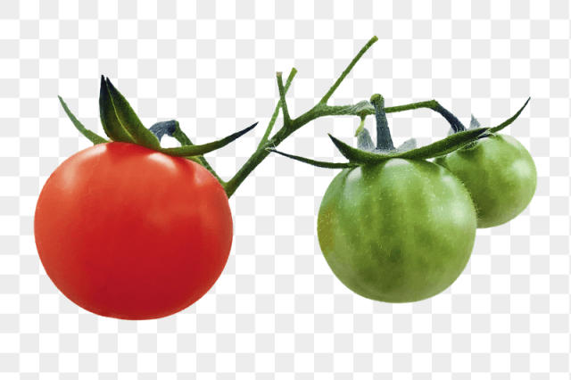 Free: Tomatoes vegetable png sticker, transparent | Free PNG - rawpixel ...