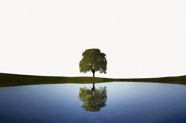 Free: Tree and lake reflection border | Free PSD - rawpixel - nohat.cc