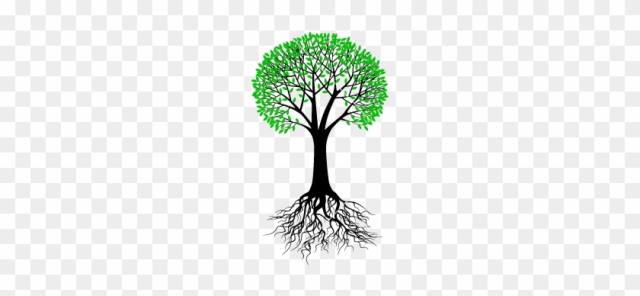 Tree Roots Vector Png