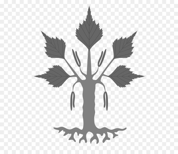 Free: Tree Coat of arms Heraldry Silver birch Rowan - tree - nohat.cc
