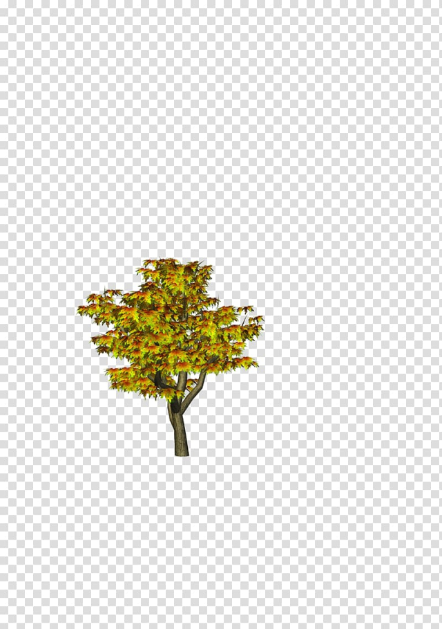 Free: Tree PicsArt Studio , tree transparent background PNG clipart ...