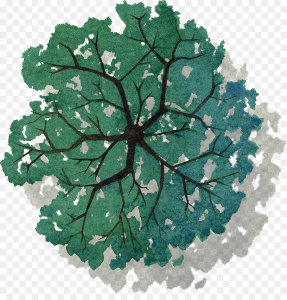 Free: Tree Plan - Painted green tree top view of - nohat.cc