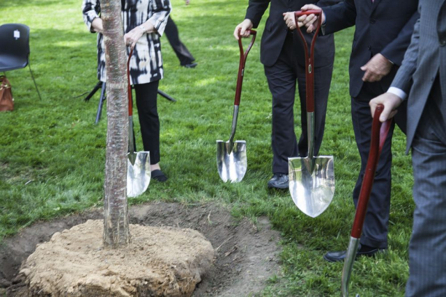 Free: Tree planting ceremony. Free public | Free Photo - rawpixel ...